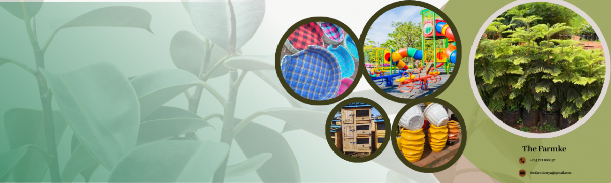 Pixie Orange Farming in Kenya: Everything You Need to Know - The Farm Kenya